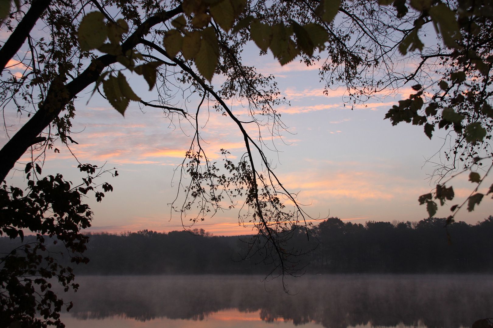 A wee splash of color - 24hourcampfire