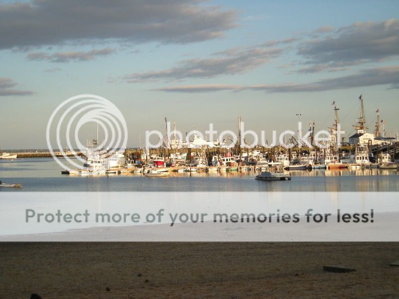 Cape Cod | Triumph Rat Motorcycle Forums