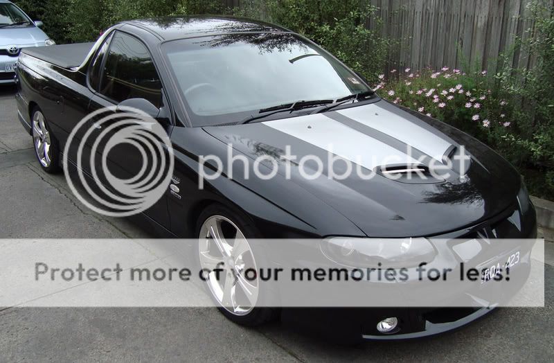 my vu gto ute - Page 6